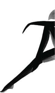 Hudson Tradition 20 Tights – Tights Fashion